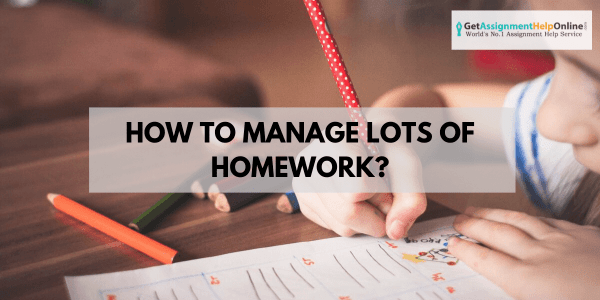 How To Manage With Lots Of Homework During Your Academics?